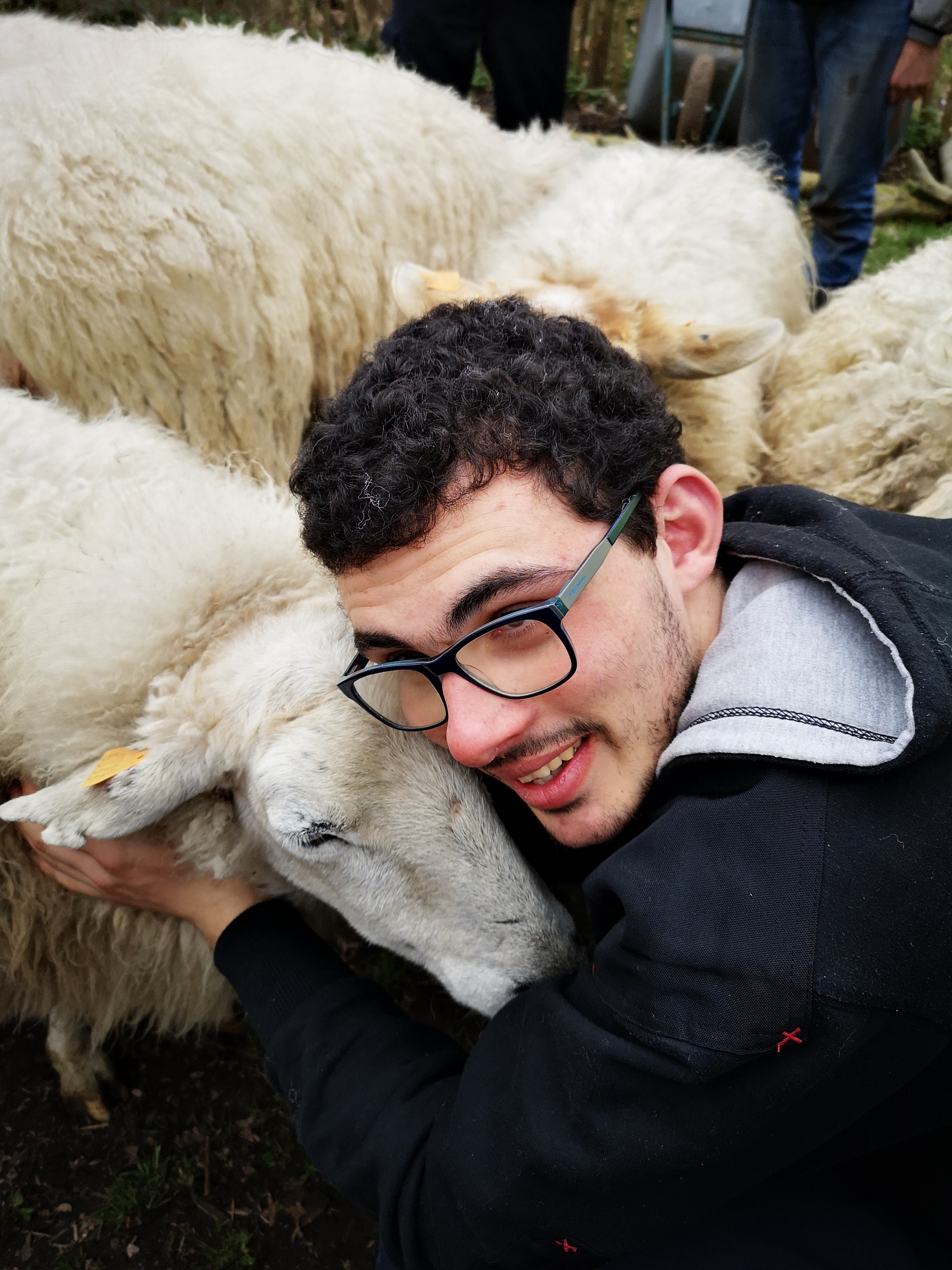 Feest in het voedselbos van dagwerking Braam – Fiola vzw in Moerbeke ...