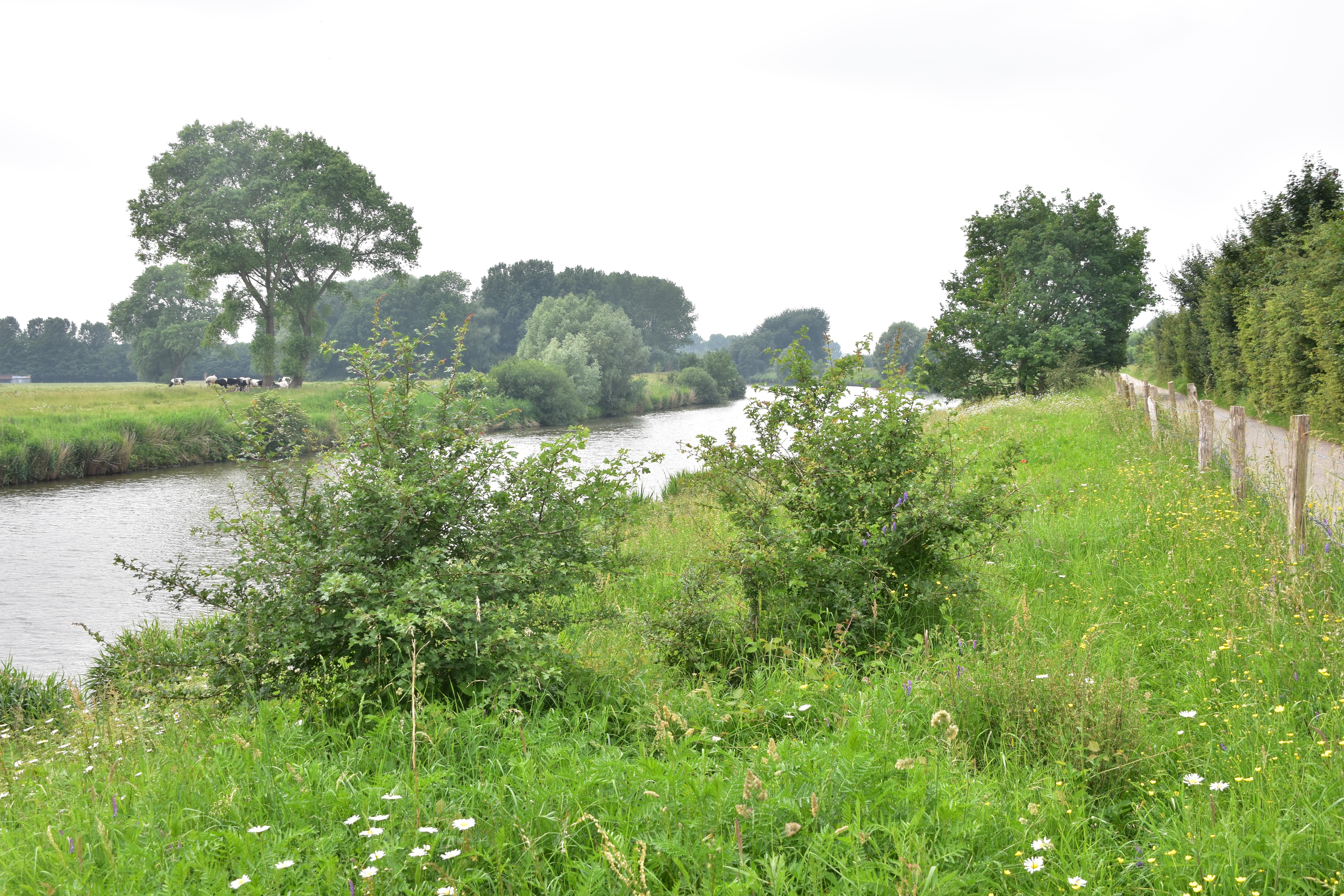 Beheerdag kanaalberm Bellem | aalter - UiTinVlaanderen