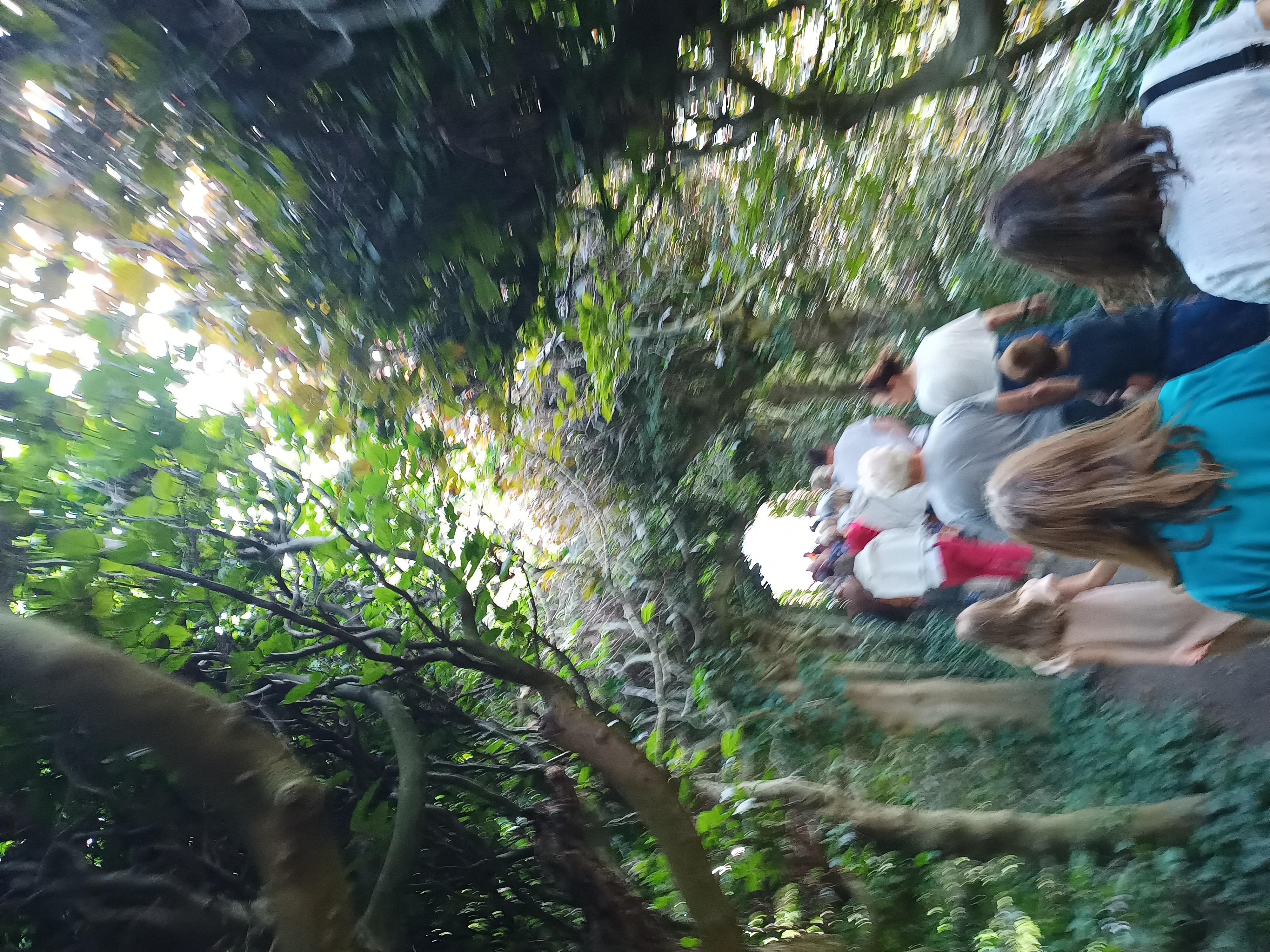 Zomerwandeling Oevel in Oevel (Westerlo) - UiTinVlaanderen