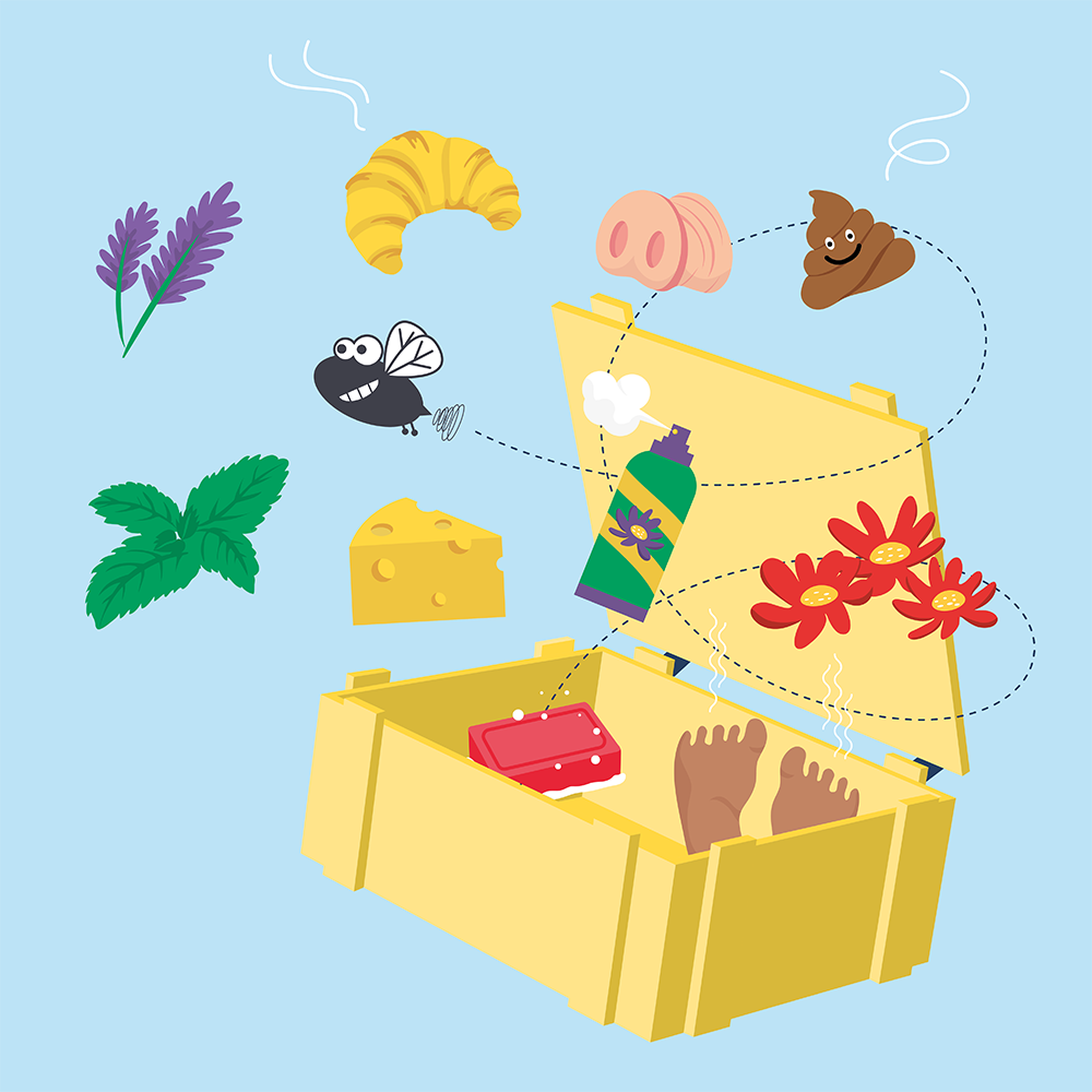 Schatten van Vlieg: volg je neus in de Bib van Temse in Temse ...